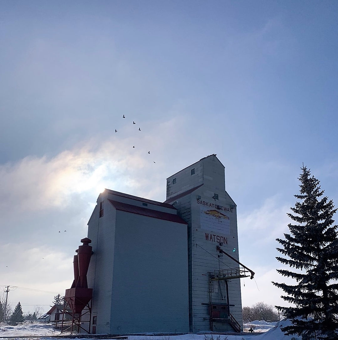 Splendor Garden - Splendor Garden